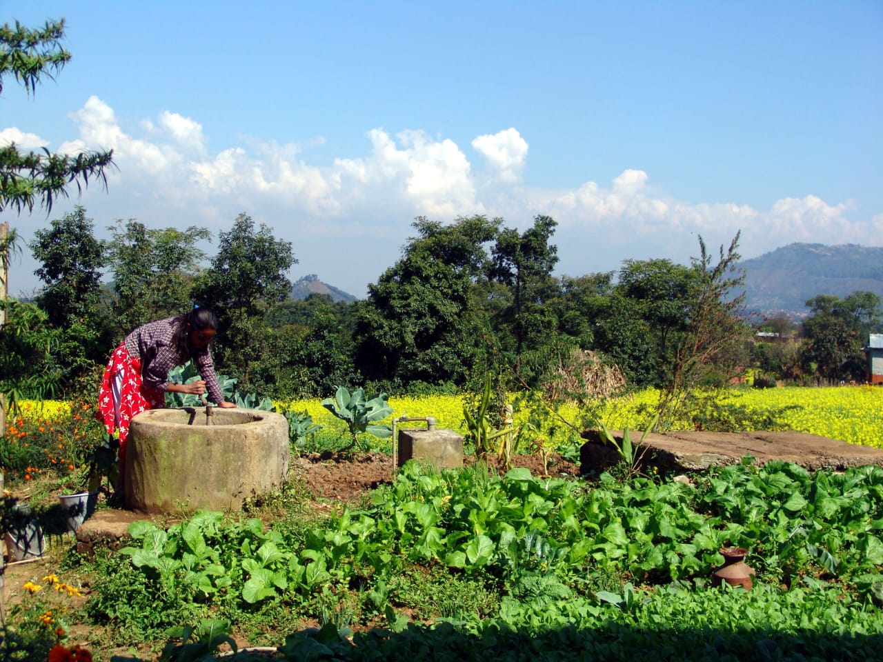 Nepal Biogas Promotion association